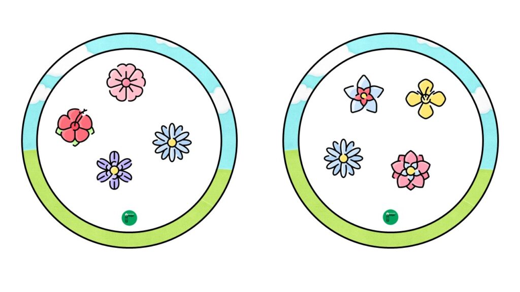 Divertido dobble para trabajar la atención con flores de la primavera ...