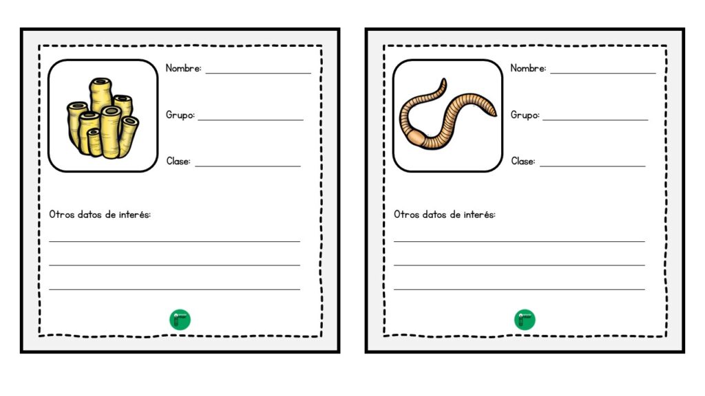 Tarjetas de datos para conocer a los animales invertebrados. ESO Y ...