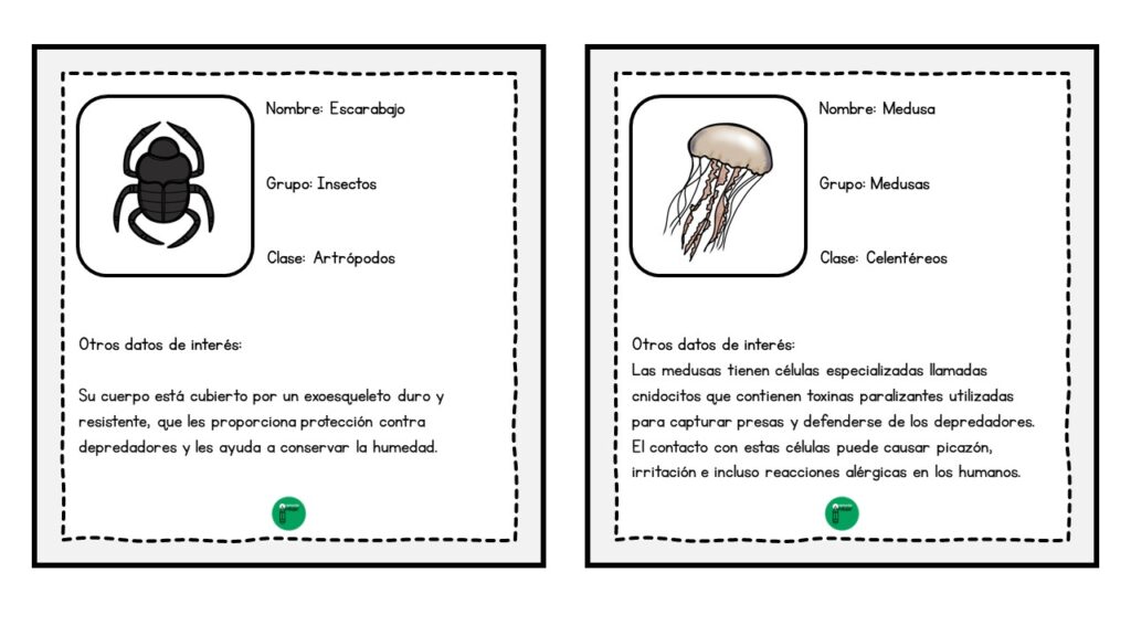 Tarjetas de datos para conocer a los animales invertebrados. ESO Y ...