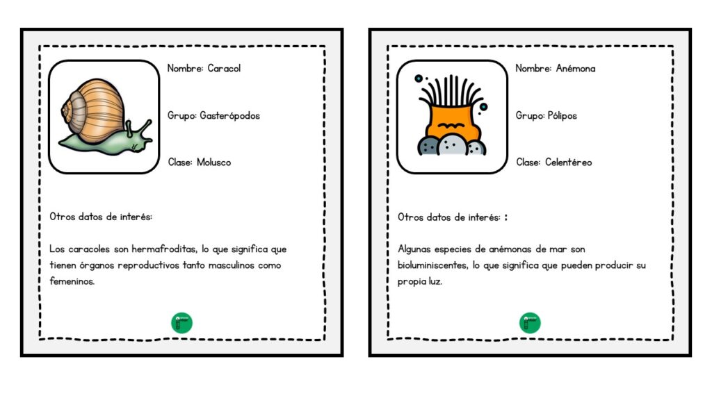 Tarjetas de datos para conocer a los animales invertebrados. ESO Y ...