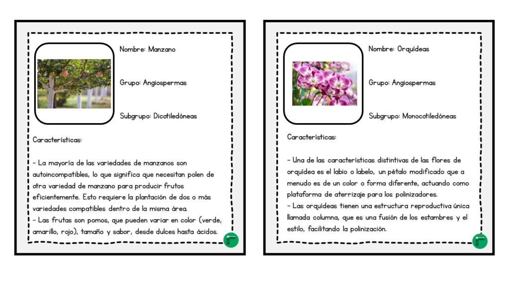 Tarjetas de datos para Secundaria: Plantas con semilla -Orientacion Andujar