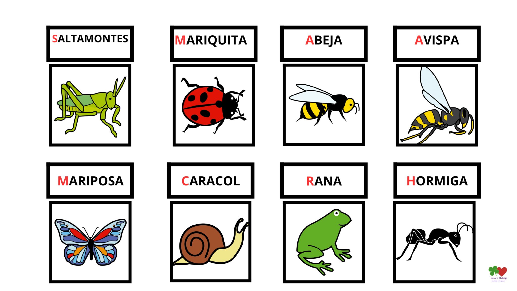 Asociación palabra imagen con pictogramas especial primavera y frutas ...