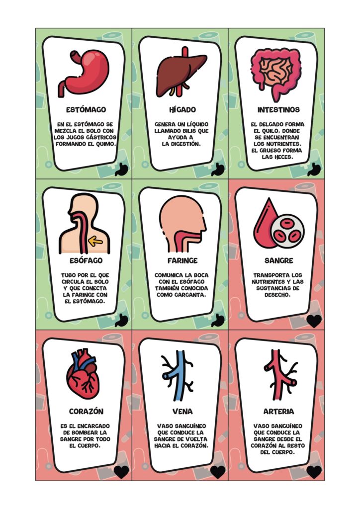 APRENDEMOS EL EL CUERPO HUMANO ¡HOSPITAL FATAL! juego de mesa ...