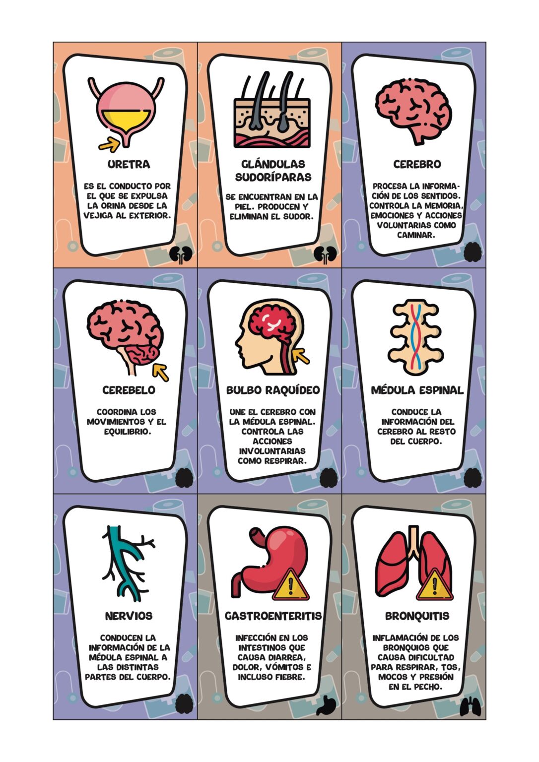 APRENDEMOS EL EL CUERPO HUMANO ¡HOSPITAL FATAL! juego de mesa ...