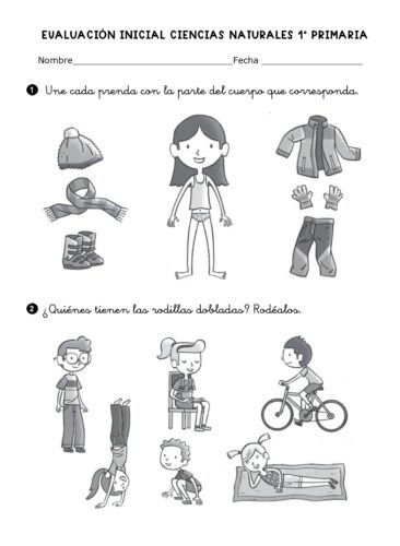 Evaluación inicial 1º primaria sociales y naturales WORD Y PDF ...