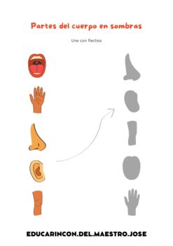 Pack El Cuerpo Humano Etapa Infantil Orientacion Andujar