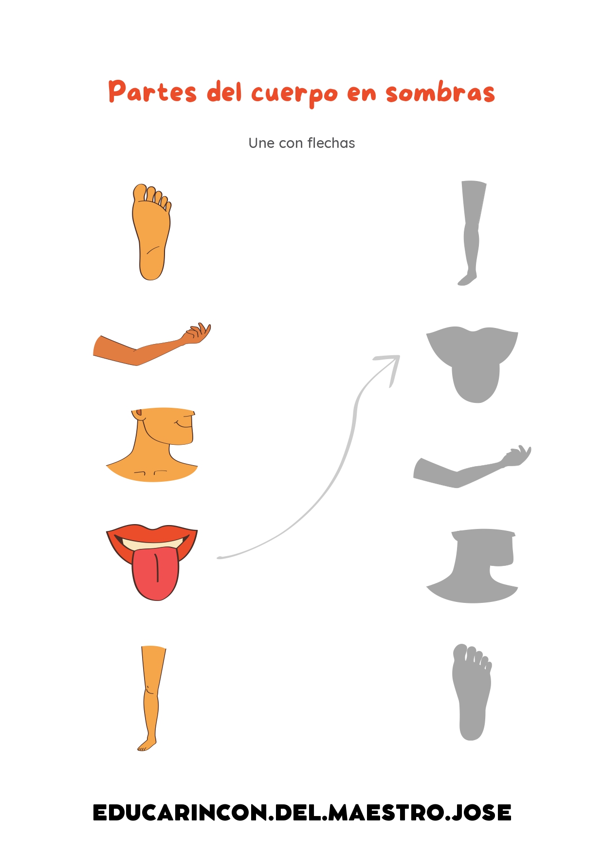 Pack El Cuerpo Humano Etapa Infantil Orientacion Andujar