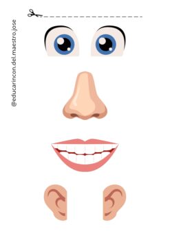 Pack El Cuerpo Humano Etapa Infantil Orientacion Andujar