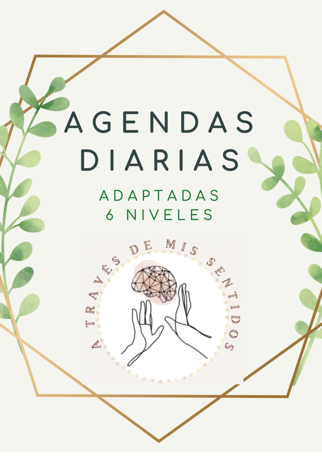 Material TEA agendas adaptadas diarias 6 niveles -Orientacion Andujar