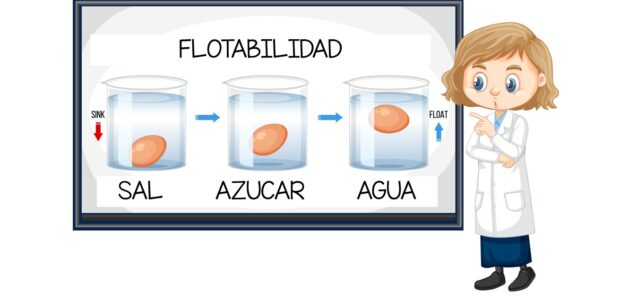 Experimento: Ascensión de un globo aerostático – Ficha de trabajo ...