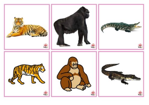 MI CUADERNO DE ASOCIACIÓN foto-picto 50 páginas - Orientacion Andujar