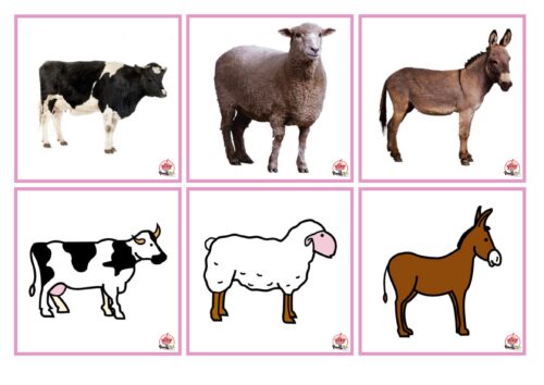 MI CUADERNO DE ASOCIACIÓN foto-picto 50 páginas - Orientacion Andujar