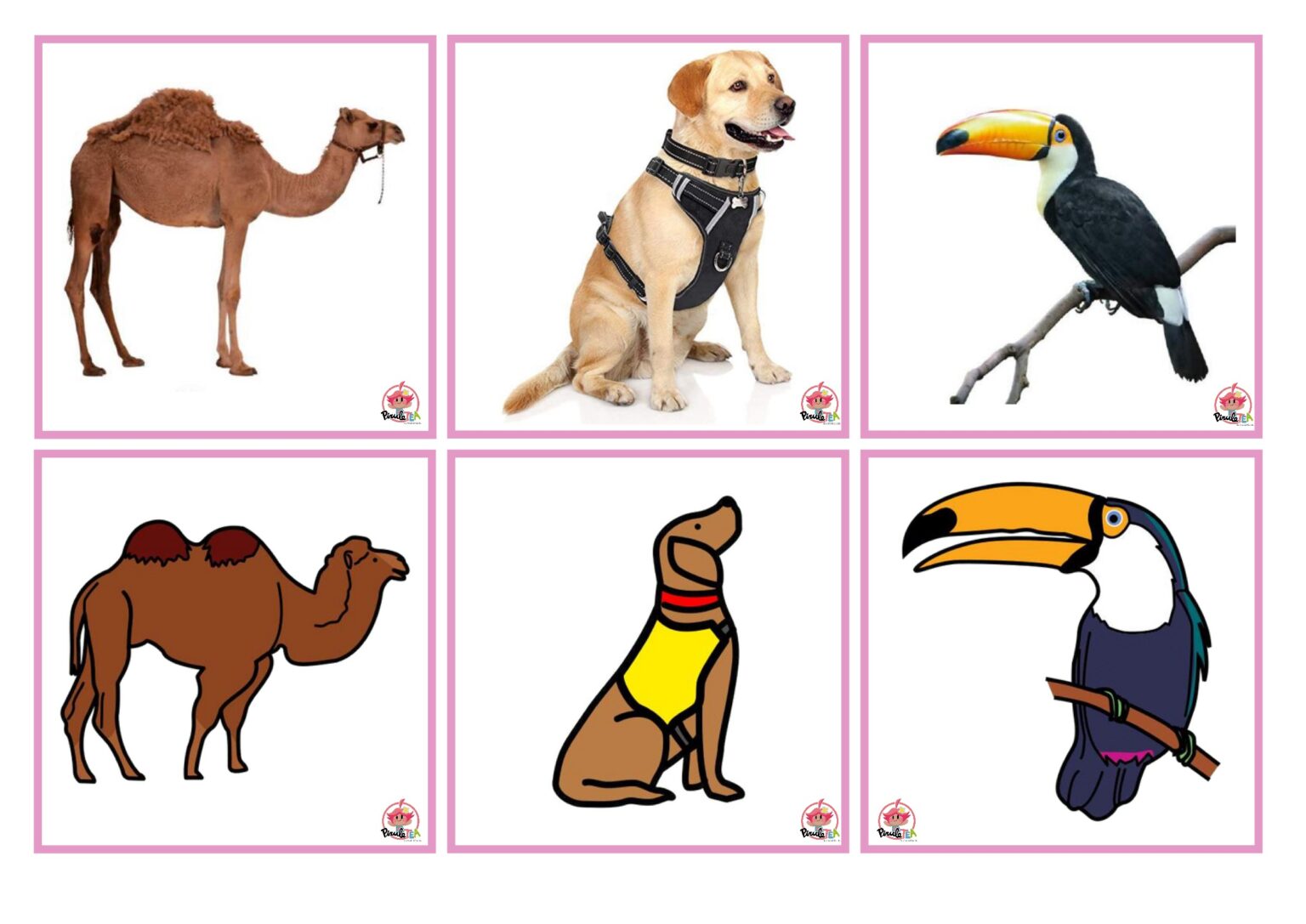 MI CUADERNO DE ASOCIACIÓN foto-picto 50 páginas - Orientacion Andujar