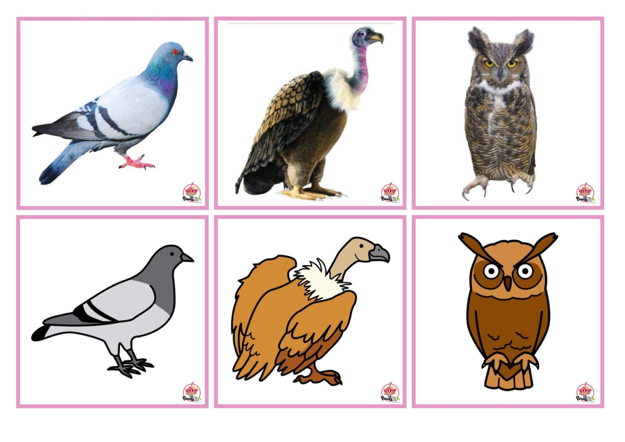 MI CUADERNO DE ASOCIACIÓN foto-picto 50 páginas - Orientacion Andujar