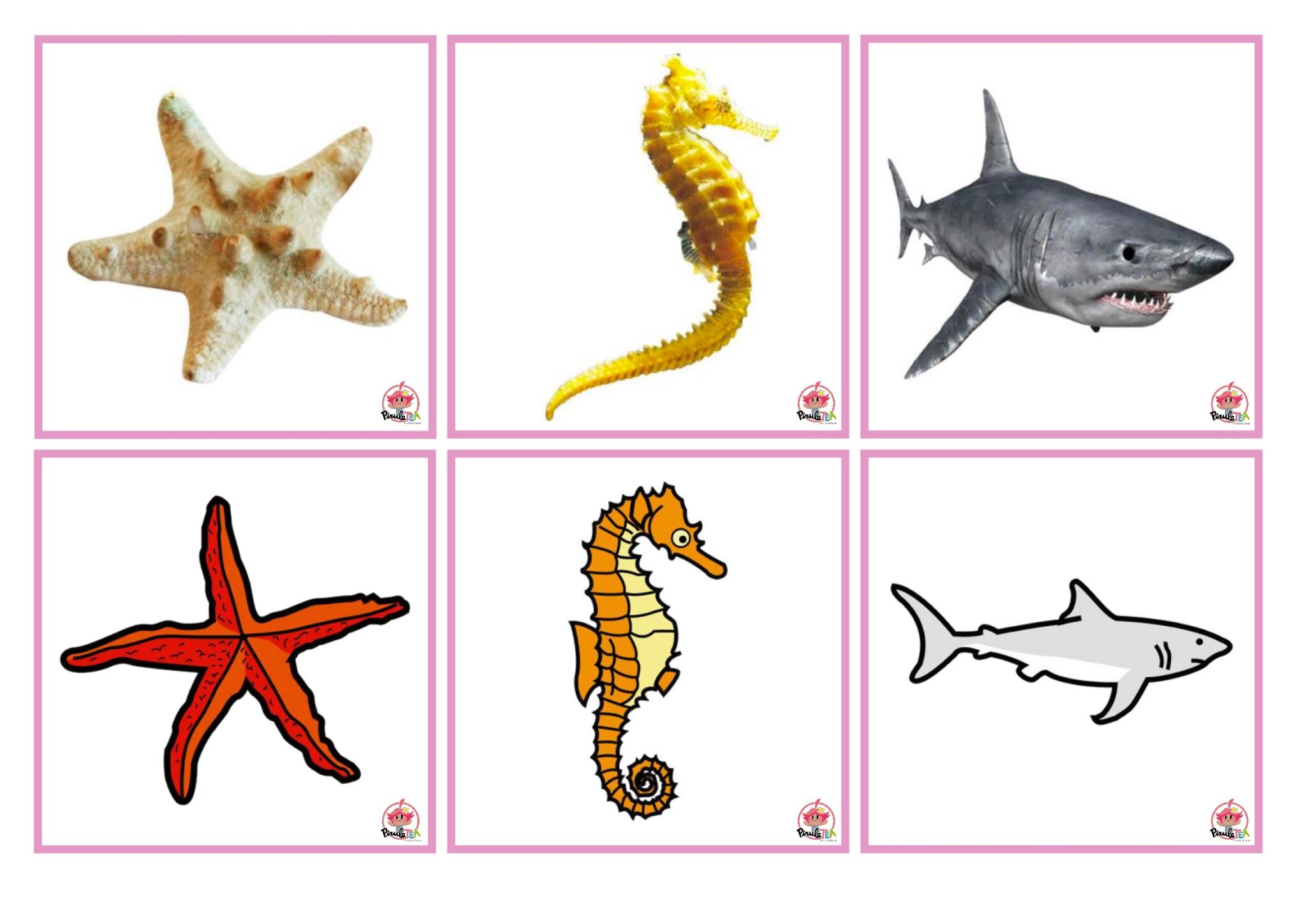 MI CUADERNO DE ASOCIACIÓN foto-picto 50 páginas - Orientacion Andujar