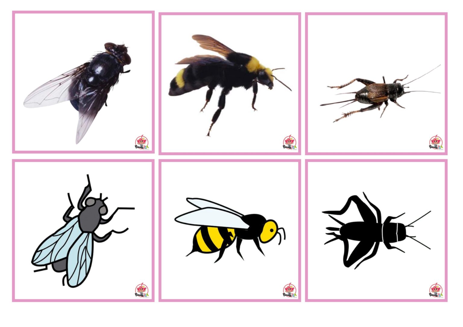 MI CUADERNO DE ASOCIACIÓN foto-picto 50 páginas - Orientacion Andujar