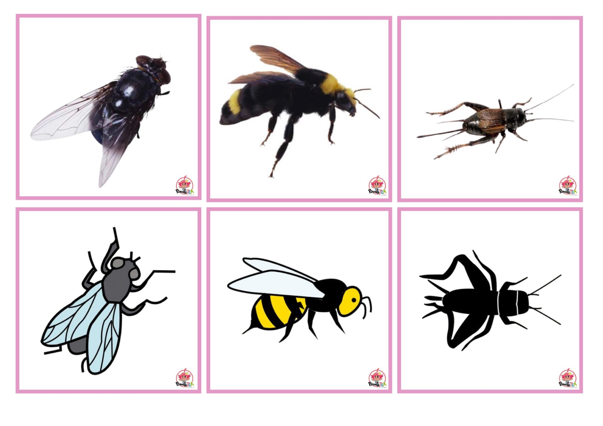 MI CUADERNO DE ASOCIACIÓN foto-picto 50 páginas - Orientacion Andujar