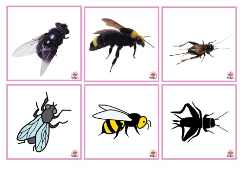 MI CUADERNO DE ASOCIACIÓN foto-picto 50 páginas - Orientacion Andujar