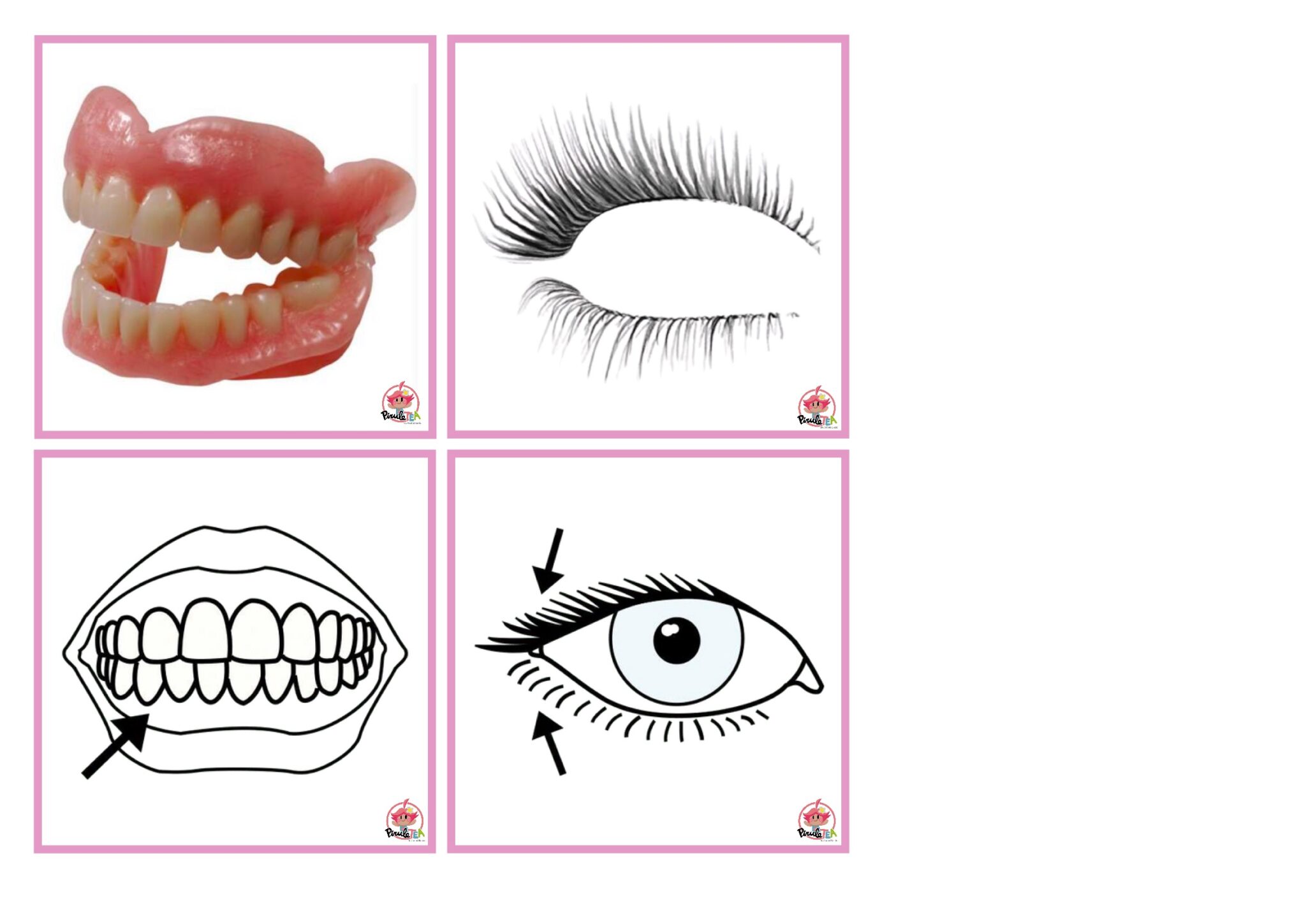 MI CUADERNO DE ASOCIACIÓN foto-picto 50 páginas - Orientacion Andujar