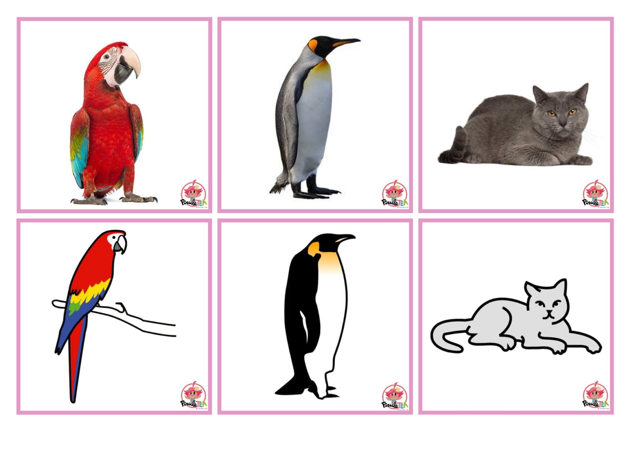 MI CUADERNO DE ASOCIACIÓN foto-picto 50 páginas - Orientacion Andujar