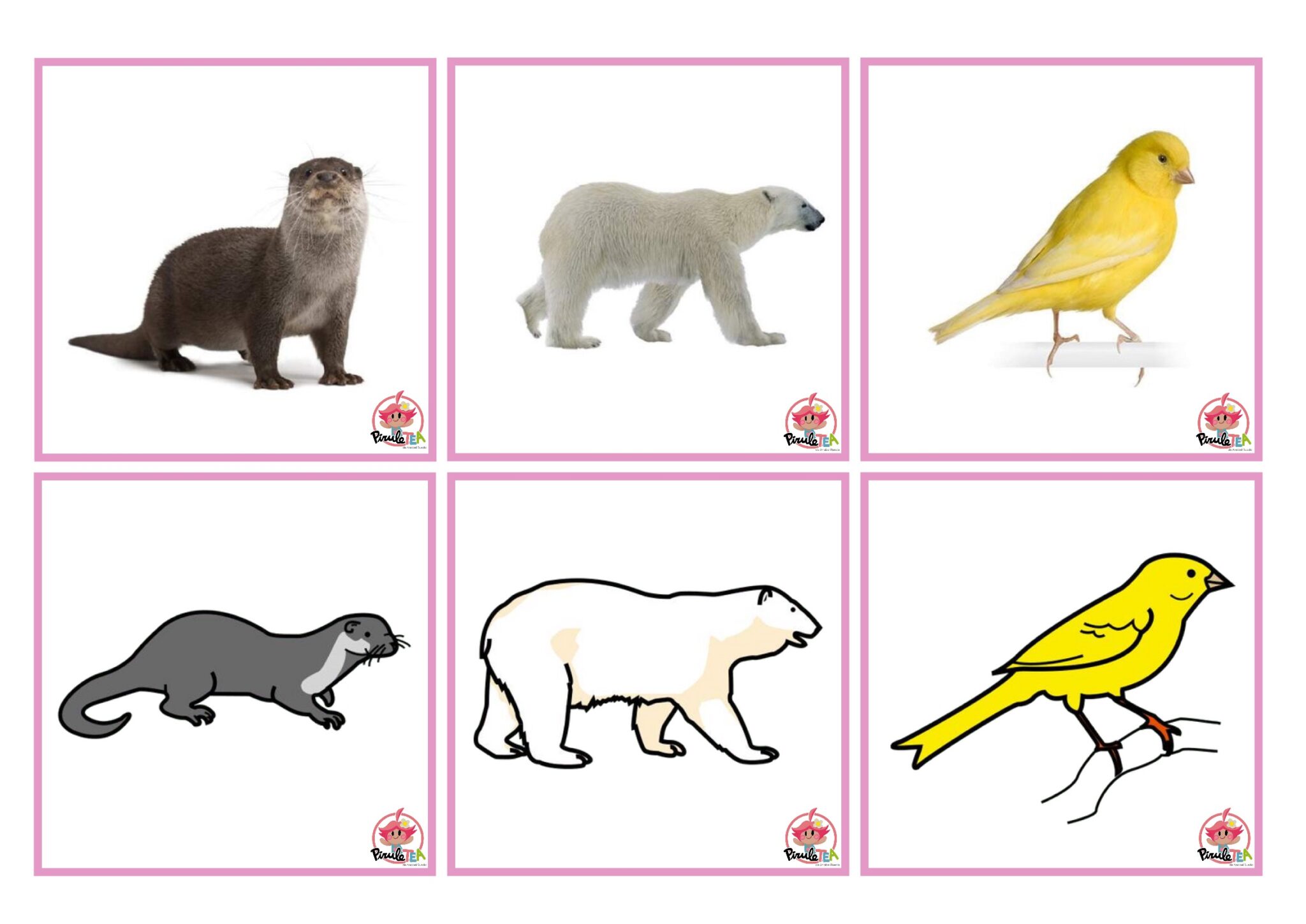 MI CUADERNO DE ASOCIACIÓN foto-picto 50 páginas - Orientacion Andujar