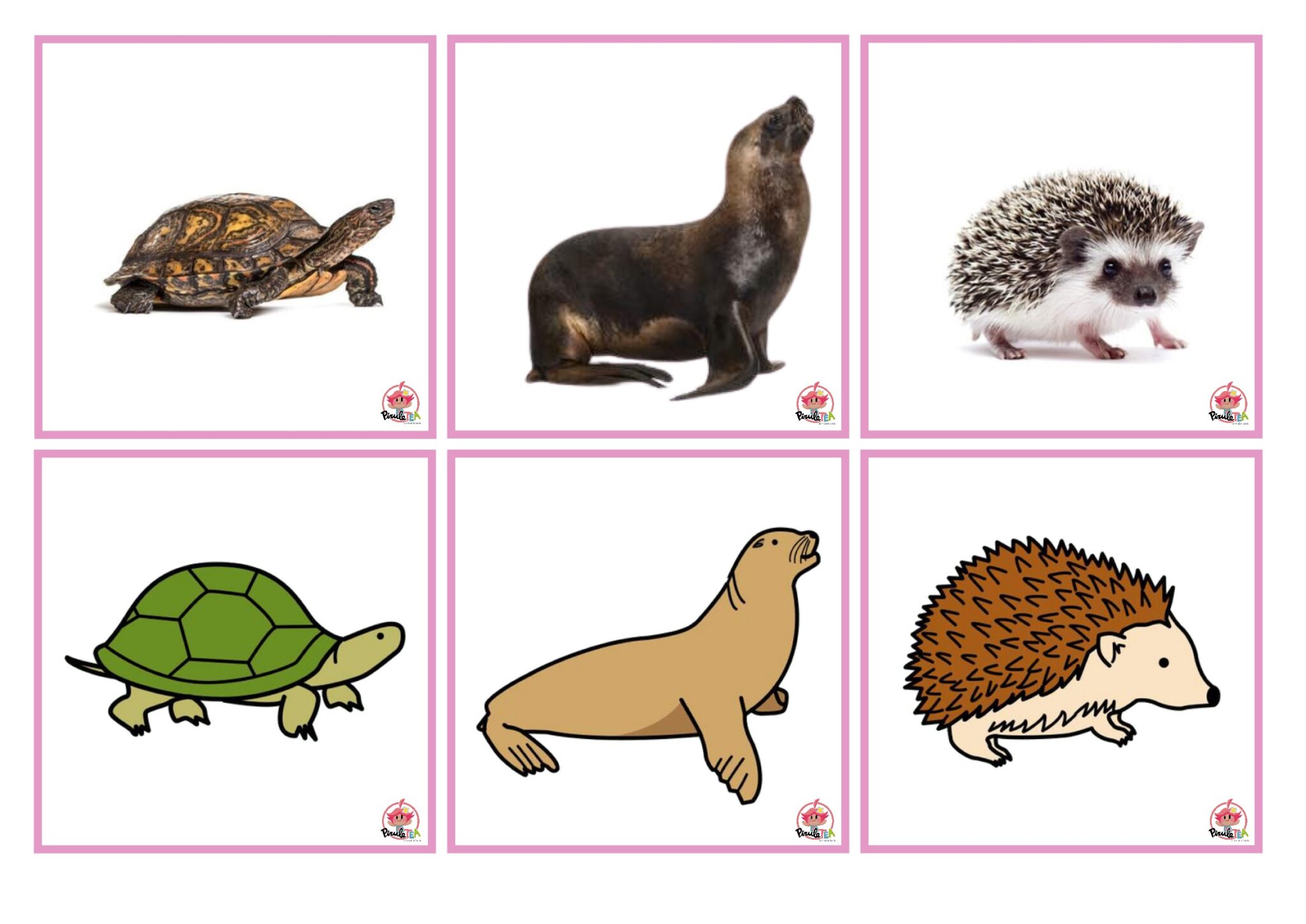 MI CUADERNO DE ASOCIACIÓN foto-picto 50 páginas - Orientacion Andujar