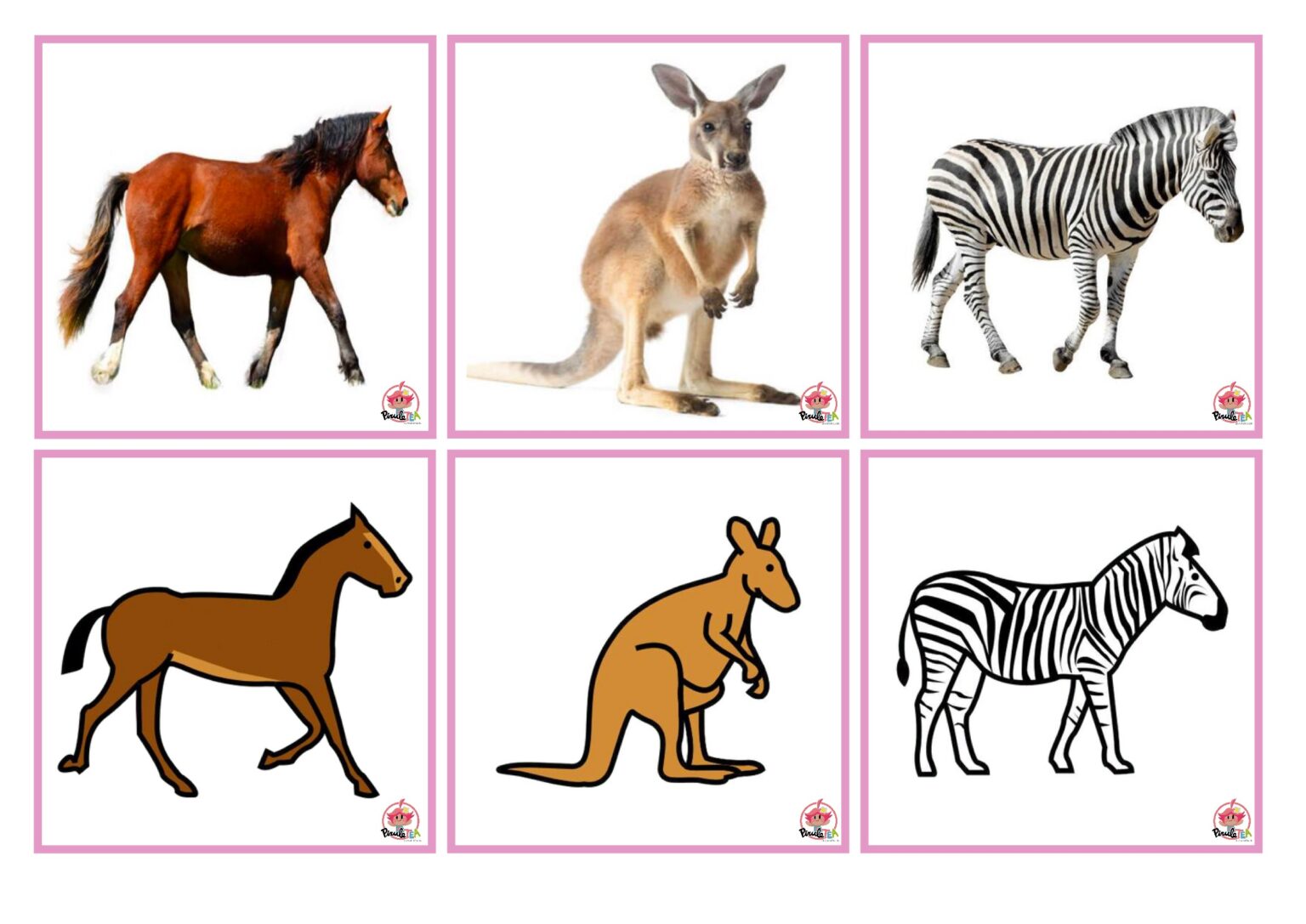 MI CUADERNO DE ASOCIACIÓN foto-picto 50 páginas - Orientacion Andujar