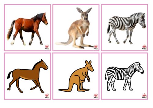 MI CUADERNO DE ASOCIACIÓN foto-picto 50 páginas - Orientacion Andujar