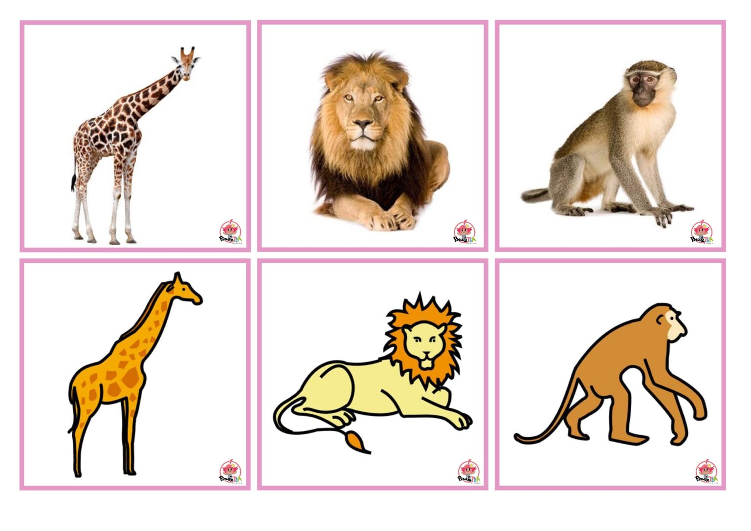 MI CUADERNO DE ASOCIACIÓN foto-picto 50 páginas - Orientacion Andujar