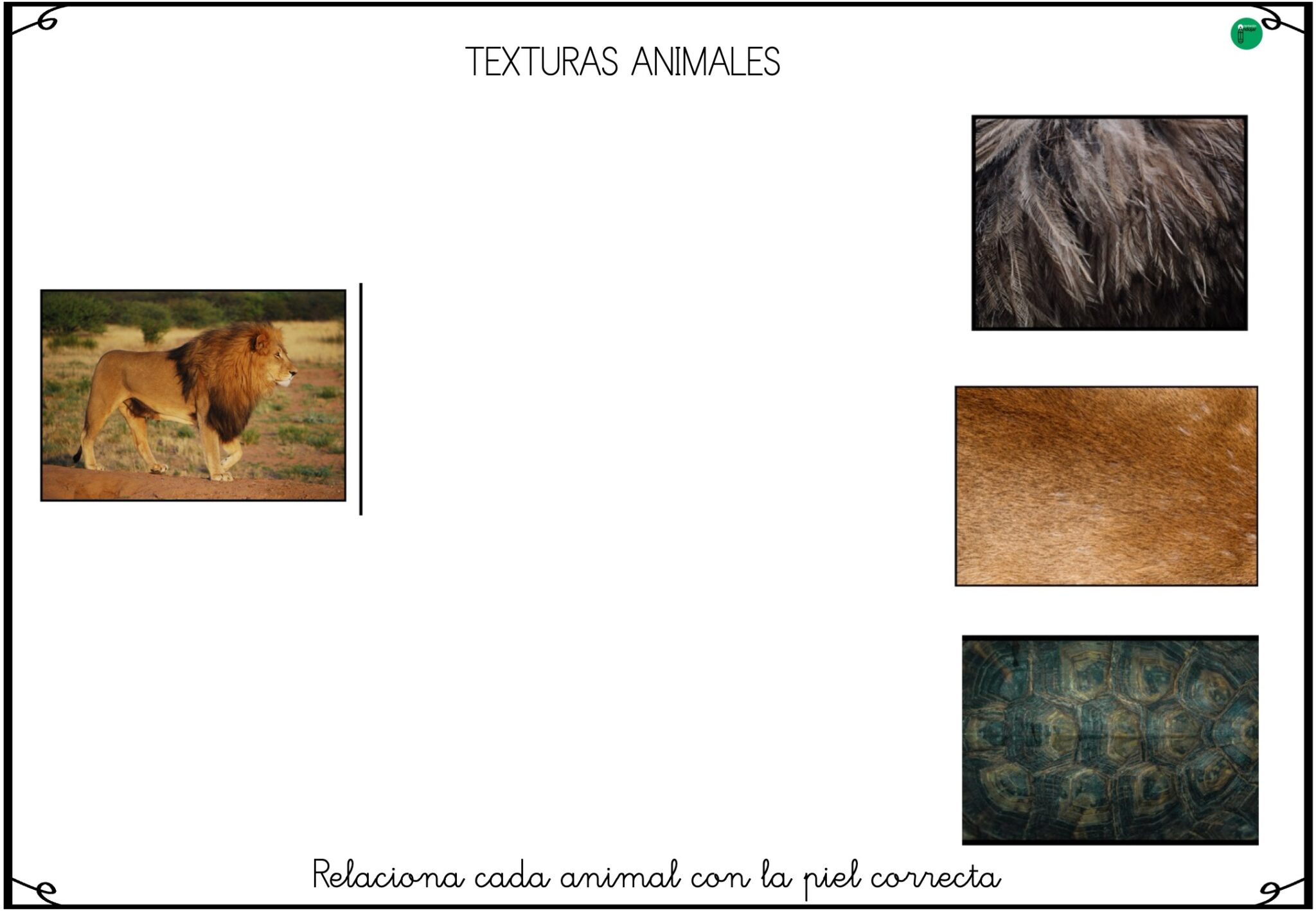 Actividad sensorial relacionamos animales y texturas de sus pieles ...