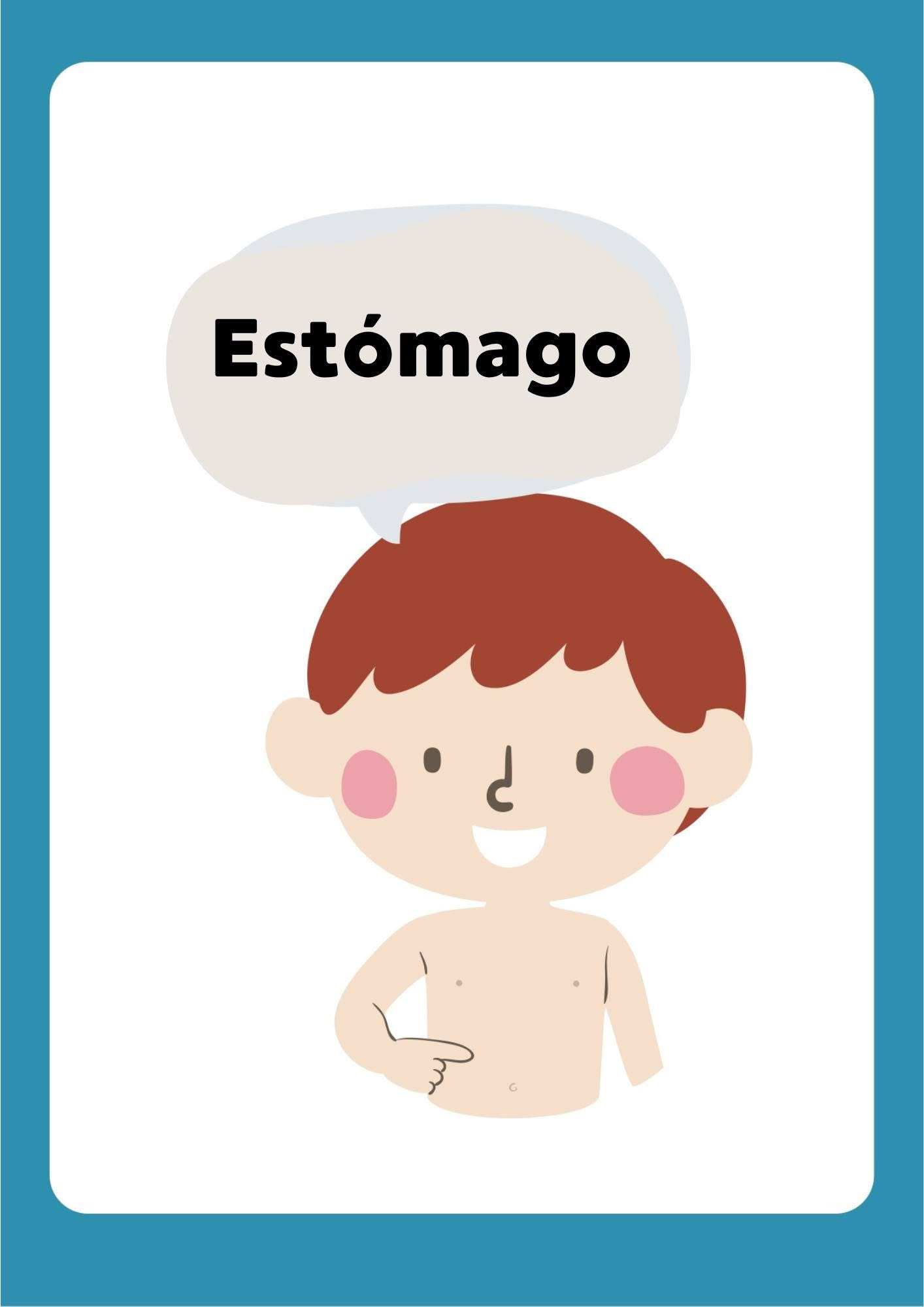 Tarjetas para Trabajar las Partes del Cuerpo con los Más Peques ...