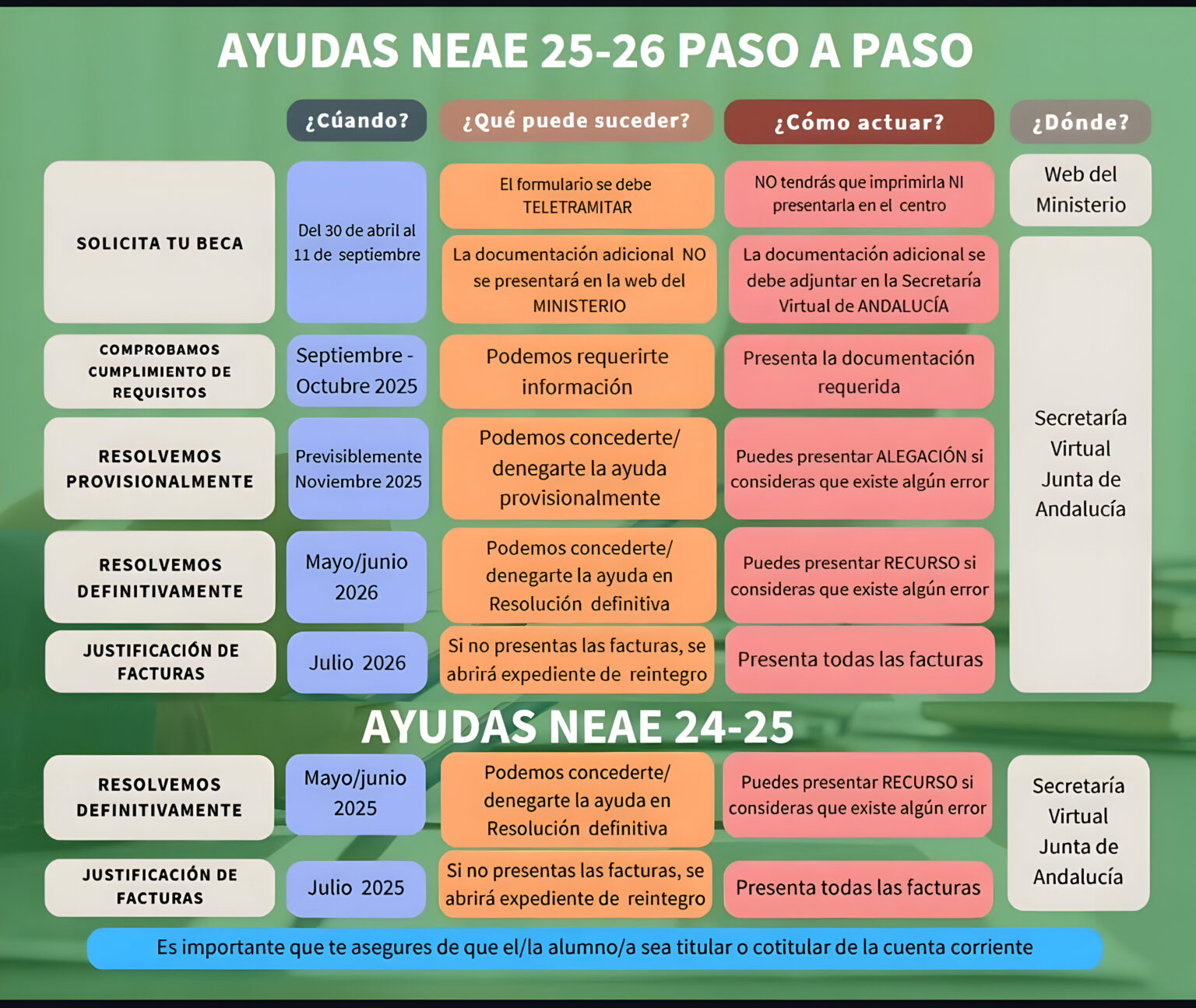 INFOGRAFÍA Becas y ayudas para alumnos con NEAE 25-26 PASO A PASO ...