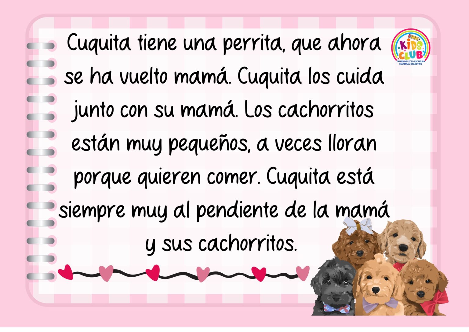 Bonito cuaderno de 20 lecturas cortas - Orientacion Andujar