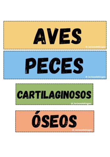 Clasificación de los Vertebrados y sus Ecosistemas: ¡Un Viaje por la ...