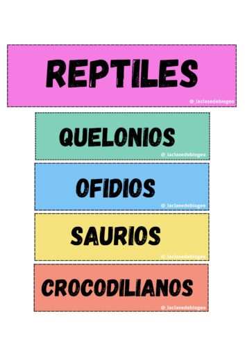 Clasificación de los Vertebrados y sus Ecosistemas: ¡Un Viaje por la ...