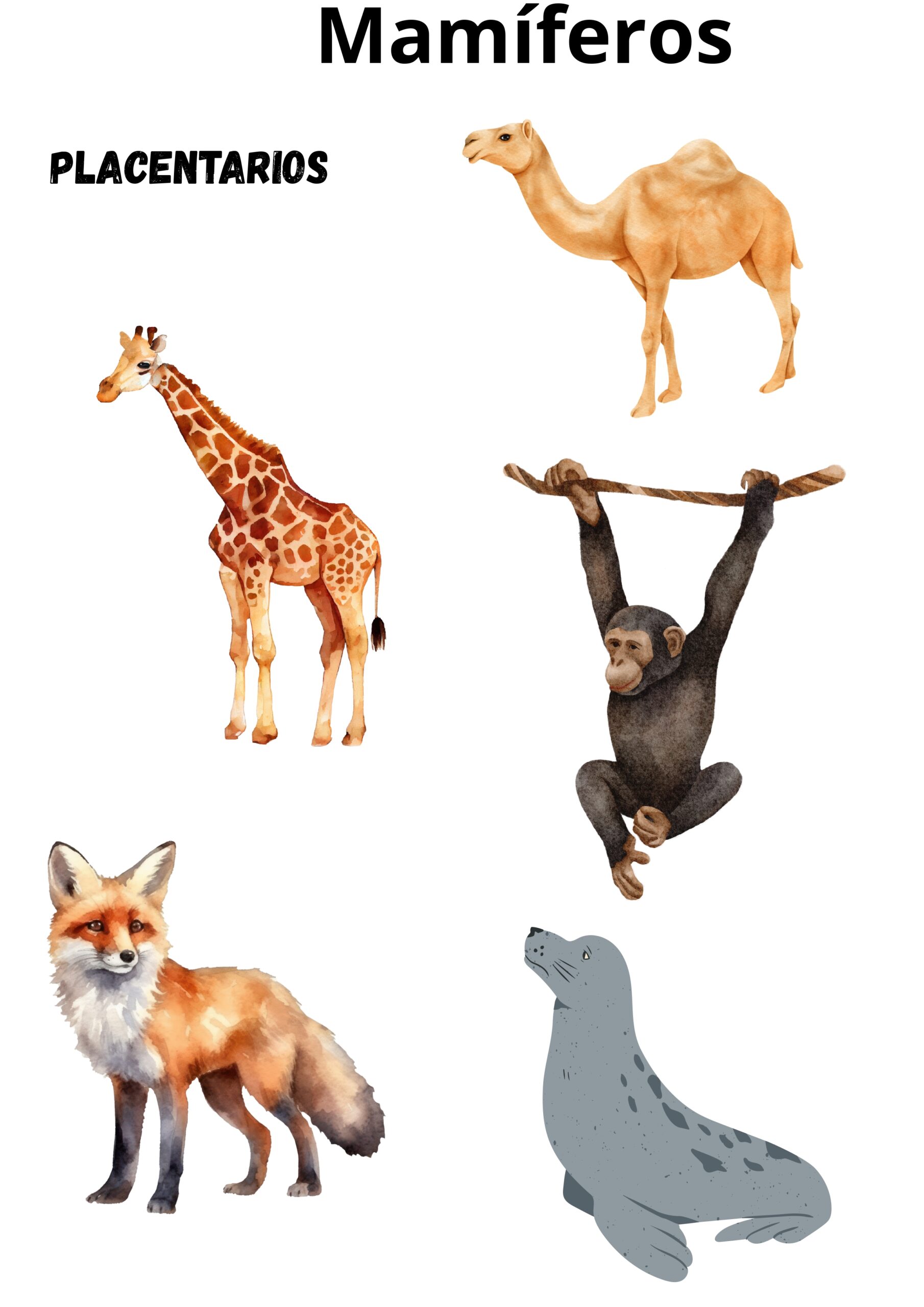 Clasificación de los Vertebrados y sus Ecosistemas: ¡Un Viaje por la ...