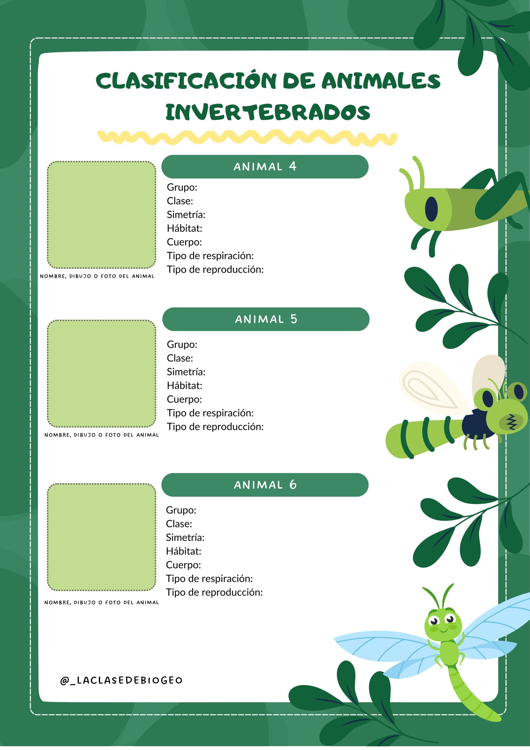 Vamos a clasificar animales invertebrados - Orientacion Andujar