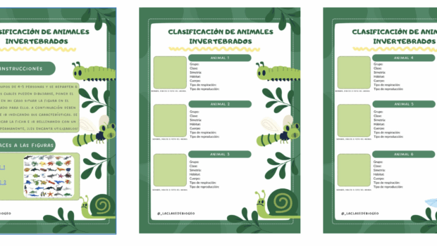Vamos a clasificar animales invertebrados - Orientación Andújar ...