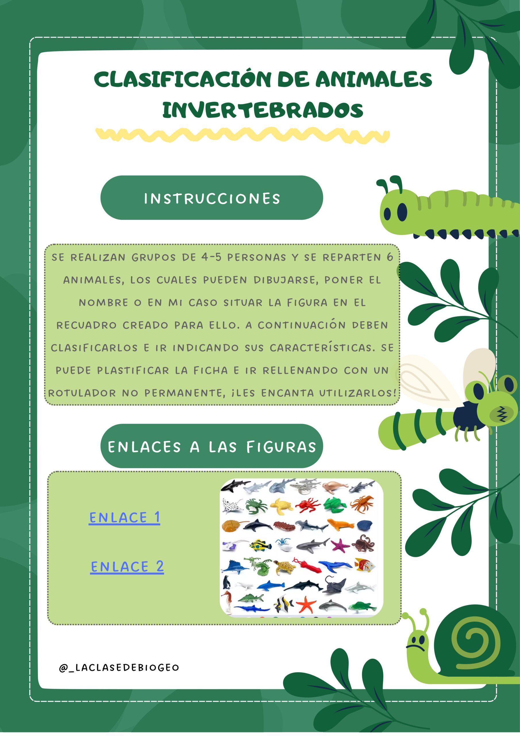 Vamos a clasificar animales invertebrados - Orientacion Andujar