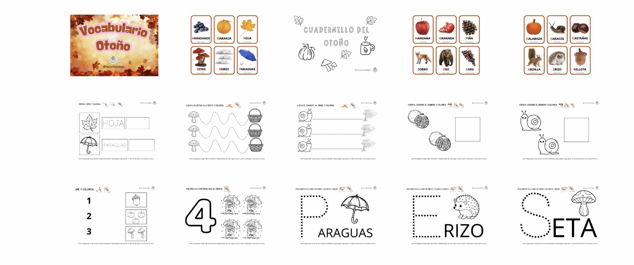 Juego de atención: Busca y encuentra en el tablero LINCE de otoño ...