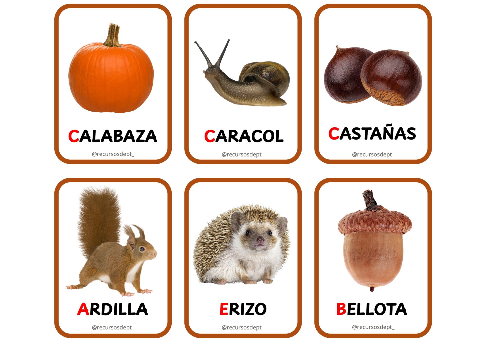 Cuadernillo y vocabulario de Otoño - Orientacion Andujar