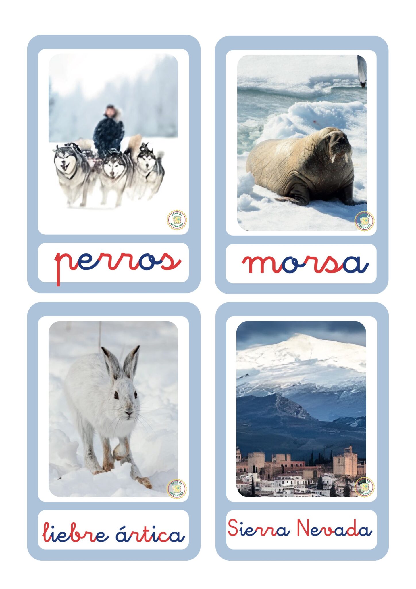 FLASHCARD VOCABULARIO DE INVIERNO - Orientacion Andujar