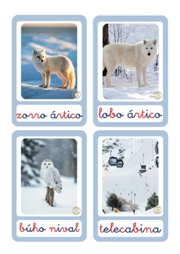 FLASHCARD VOCABULARIO DE INVIERNO - Orientacion Andujar